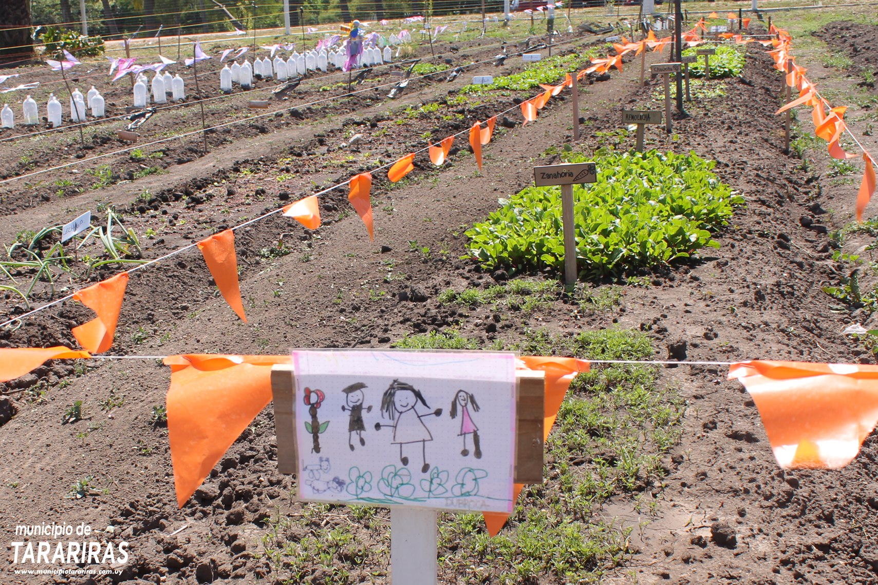 Se inauguró la Huerta Comunitaria "Sembrando Vida, Cosechando Amistad ...